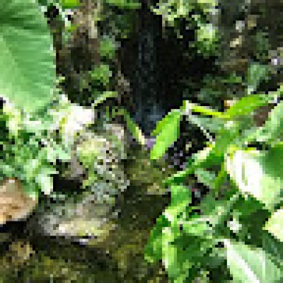 She Outchea | Pimple.tv | The Best Pimple Popping 2023 Videos You'll ...